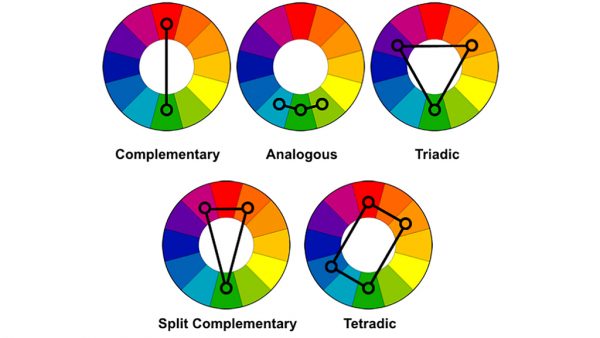 Garden Colour Schemes - Use the tried and true principles